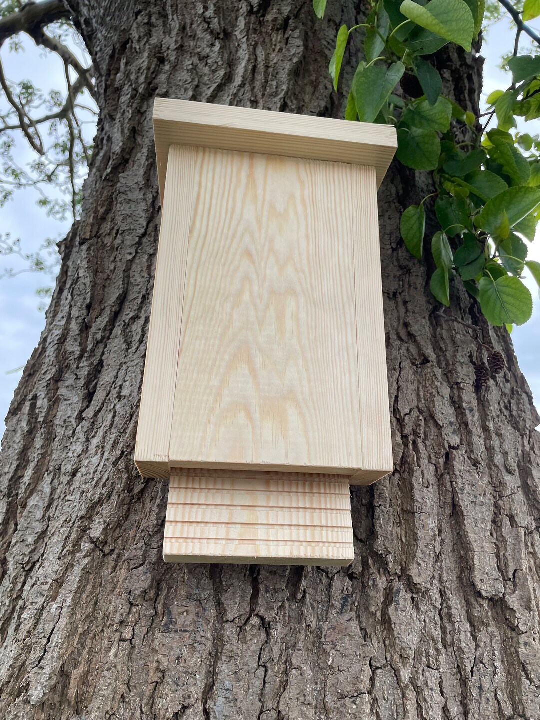 Bat Box Roosting Wildlife Habitat Conservation Nesting House UK Bats ...