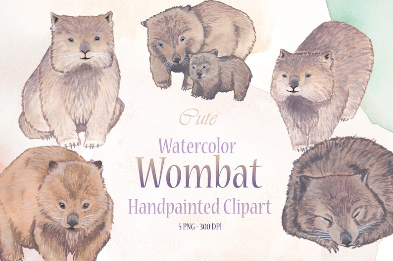 Watercolor Cute Wombats Clipart, Png Download, Printable - Etsy Australia