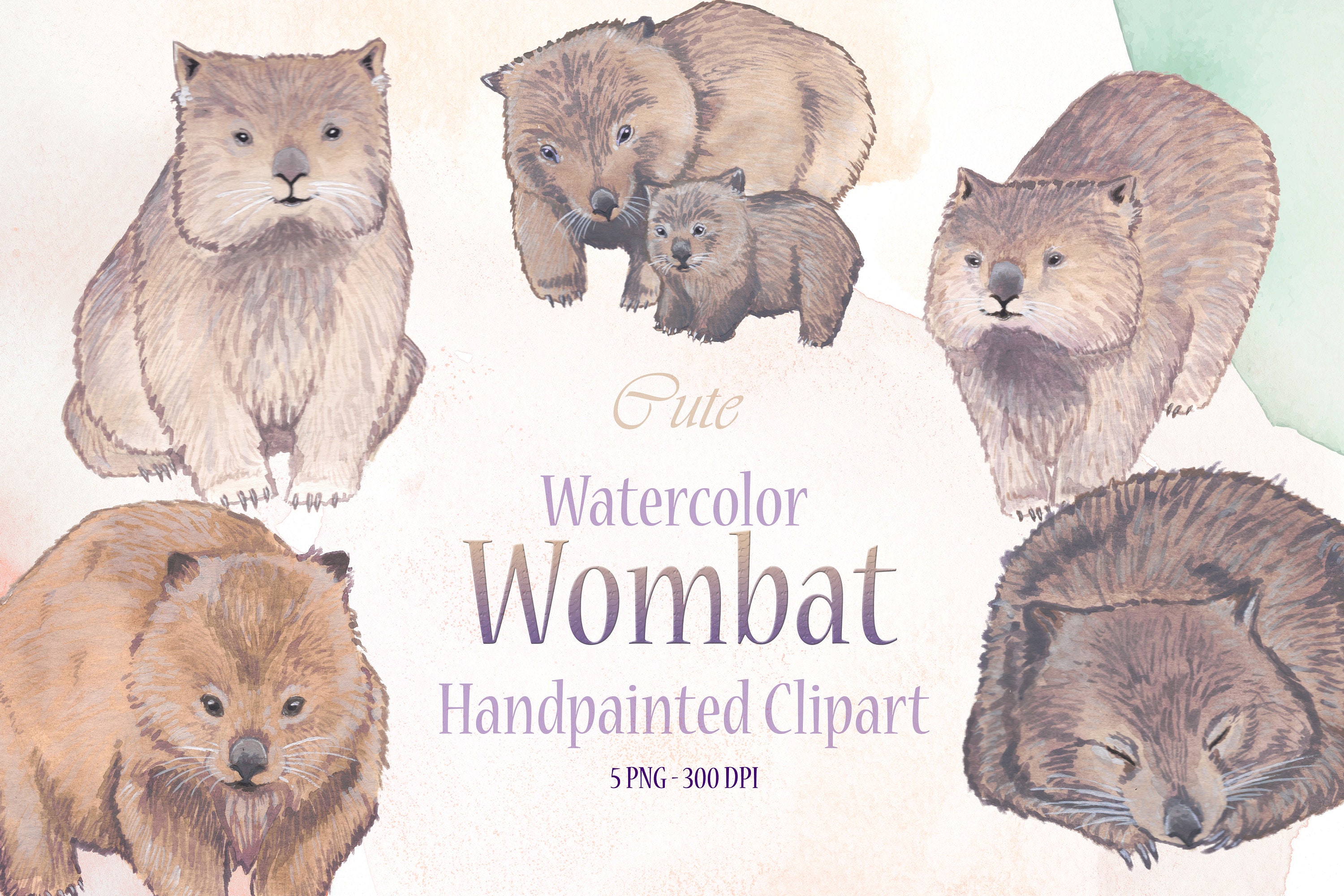 Cute Wombat Drawing