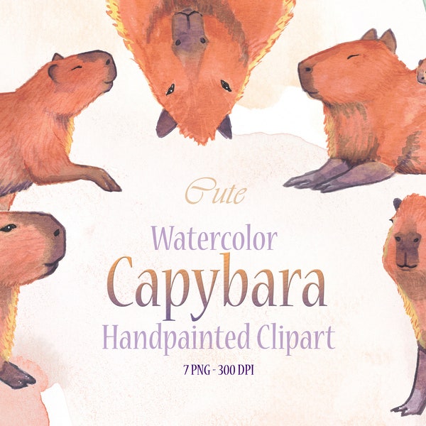 Cute Capybara Clipart - Etsy