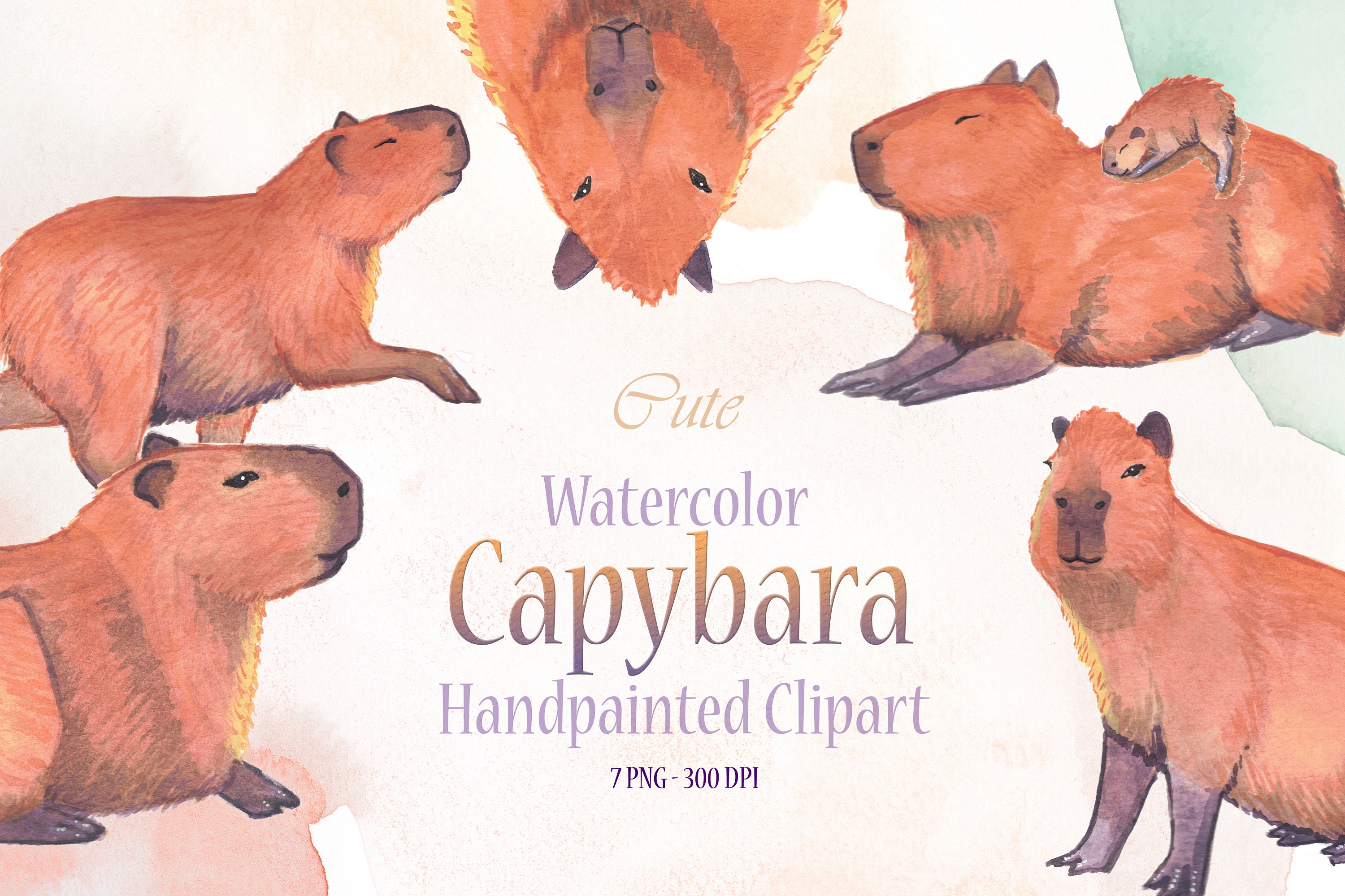 Watercolor Cute Capybara Clipart, Png Download, Printable - Etsy