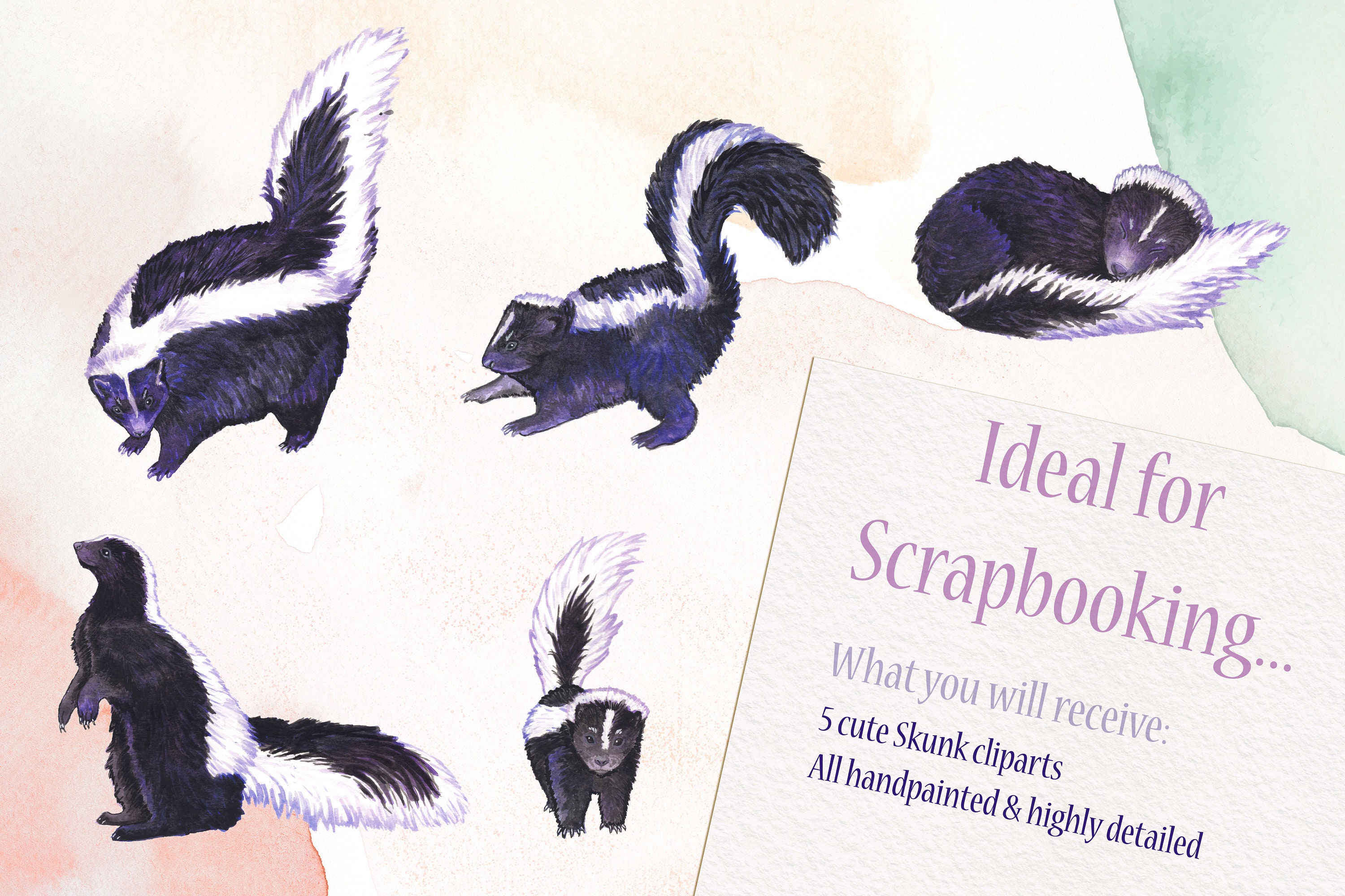 Set of 5 Adorable Skunk Clipart Painted in Watercolor - Unique ...