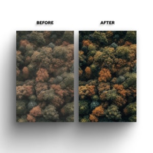 30 Autumn Fall Lightroom Presets Desktop and Mobile Version Best for ...