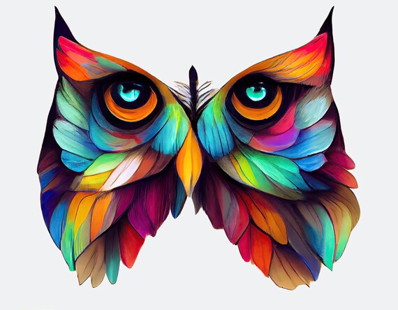 Bunte Eulenbilder 739 Eule Fotos, Bilder Und Hintergrundbilder Zum
