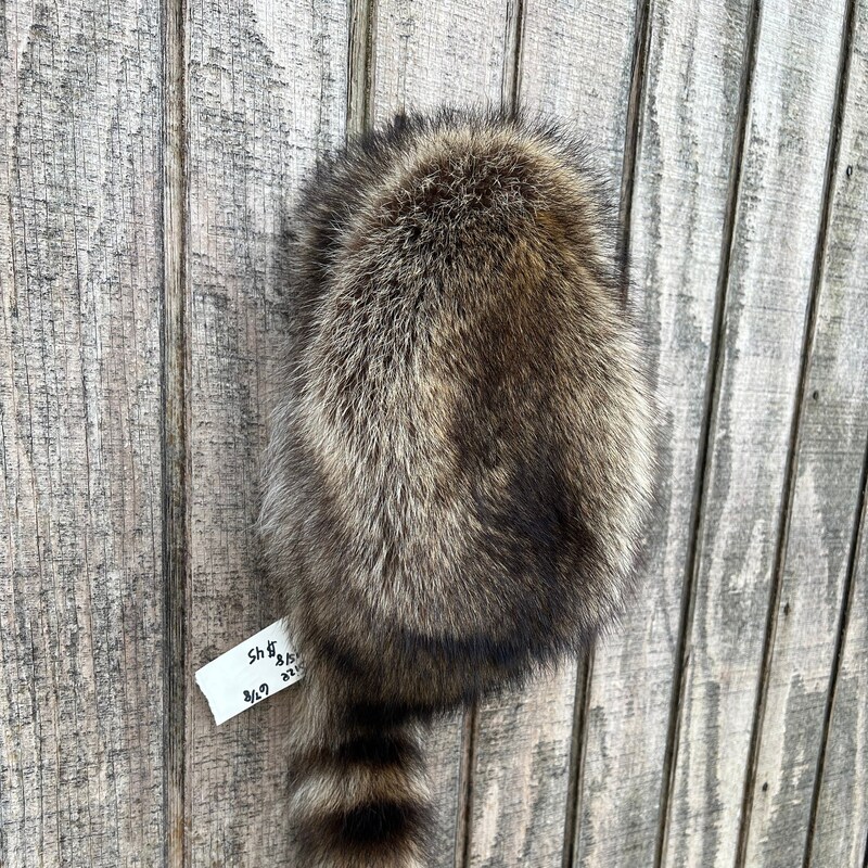 Coonskin Hat - Etsy