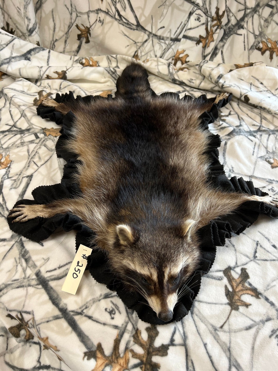 Raccoon Rug With Mounted Head - Etsy