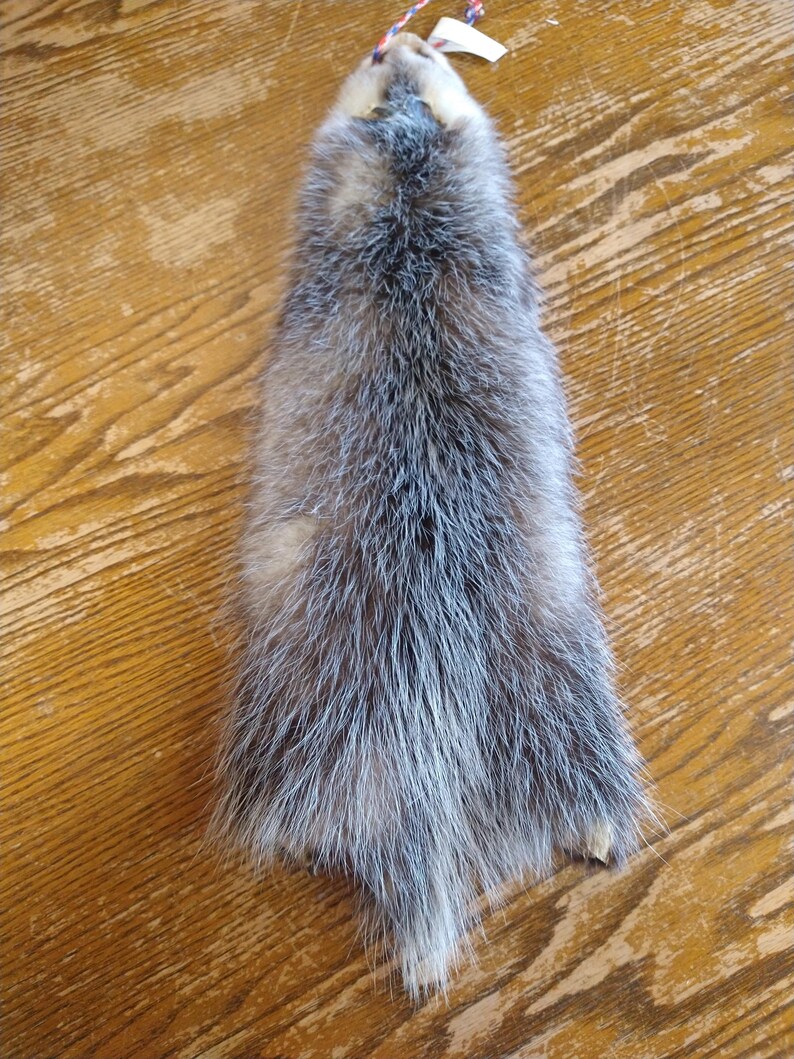 Opossum Fur Pelt, Craft or Wall Decor - Etsy