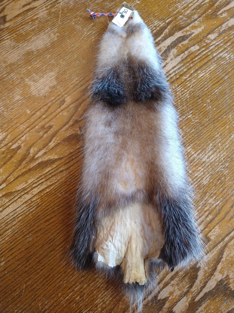 Opossum Fur Pelt, Craft or Wall Decor - Etsy