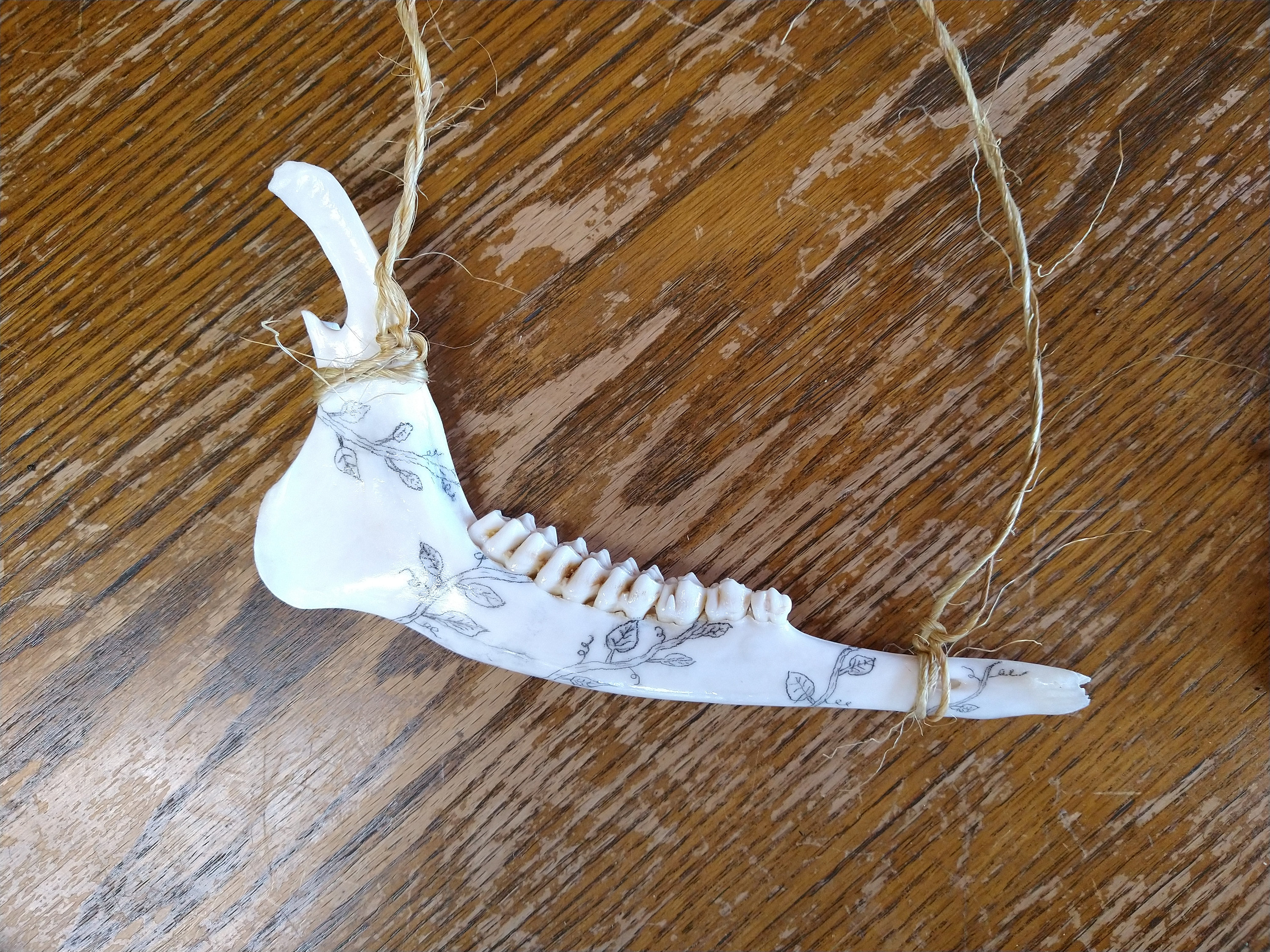 Jaw Bone Art - Etsy