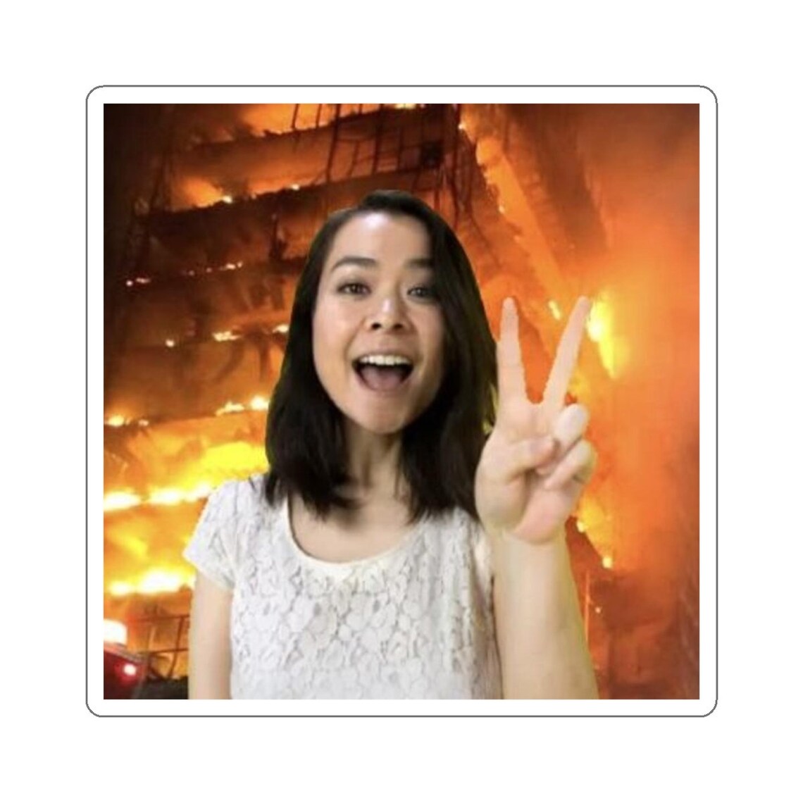 Mitski Sticker Funnt Mitski Meme Sticker Mitski Merch - Etsy