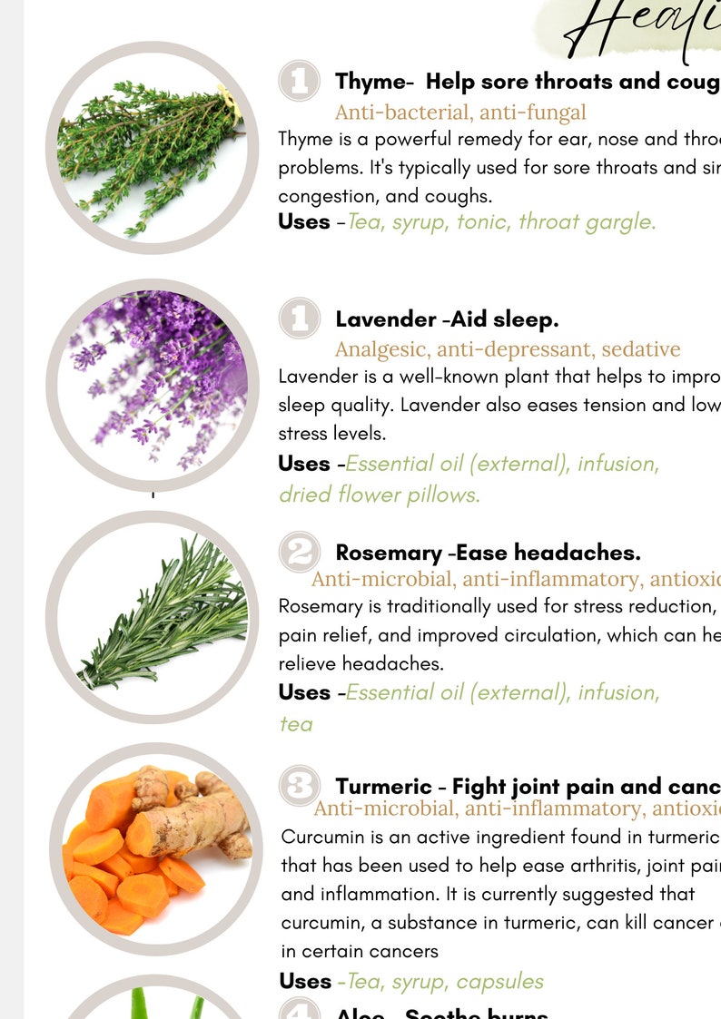 Healing Herbs Poster /herbal Remedies / Digital Download A4 / - Etsy