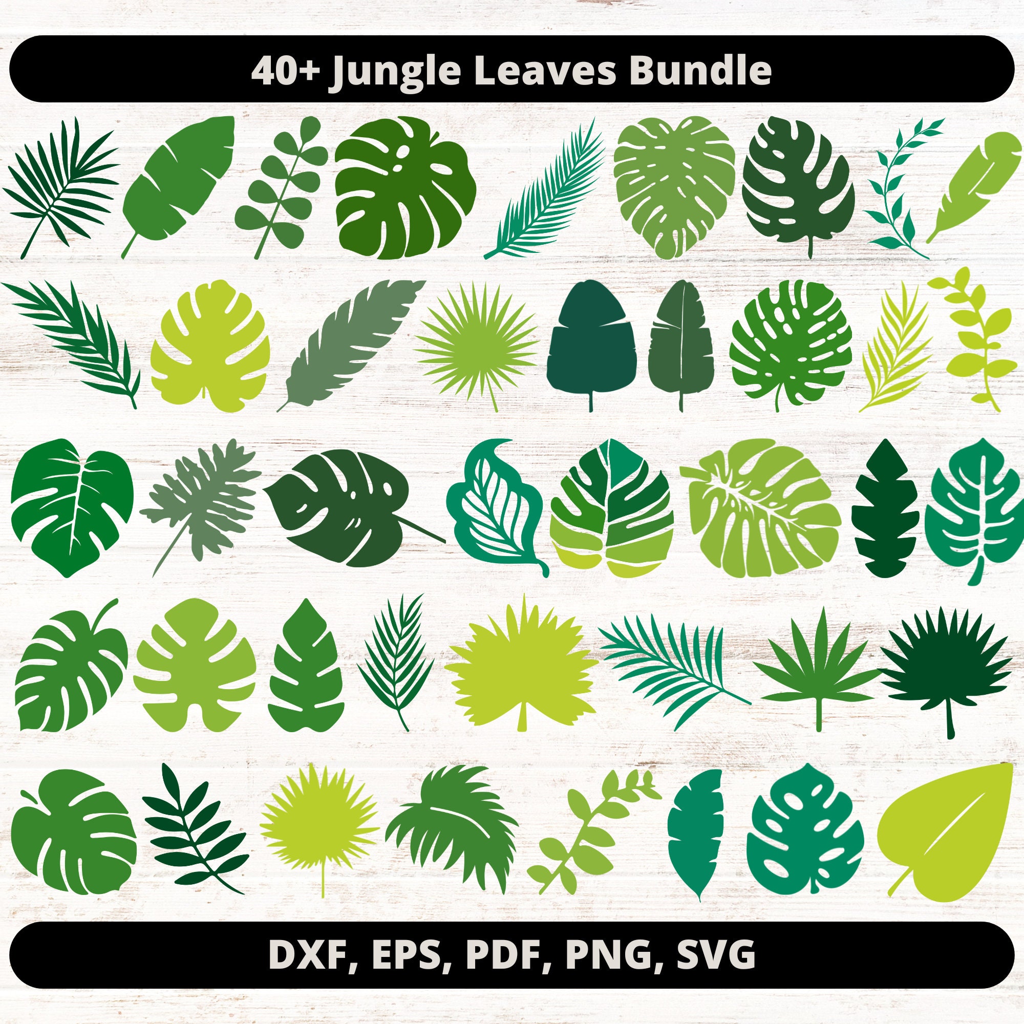 Jungle Leaves Clipart
