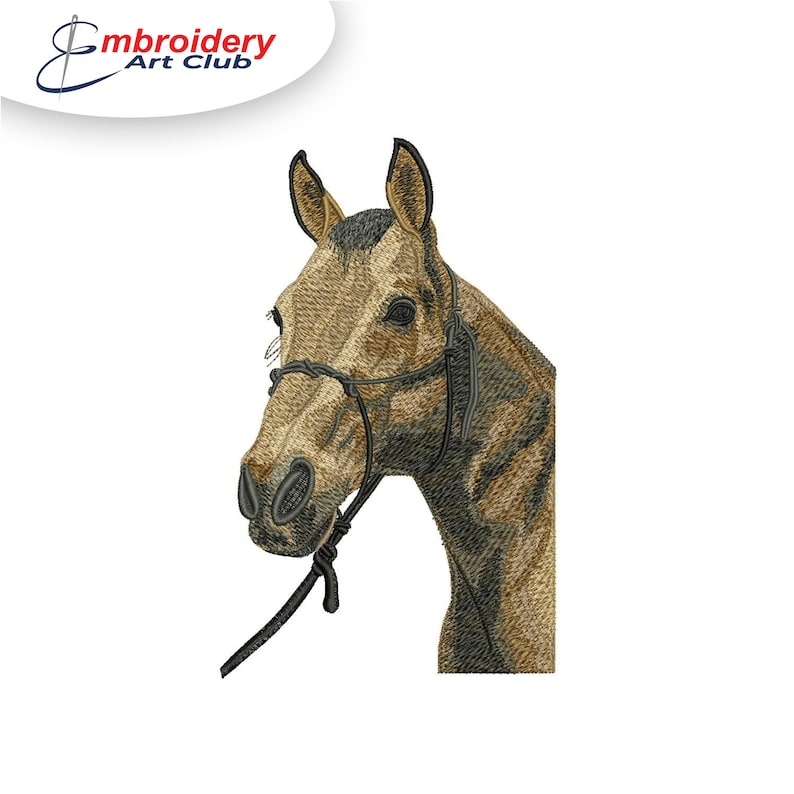 Thoroughbred Horse Embroidery Designs Horse Machine Embroidery Digital ...