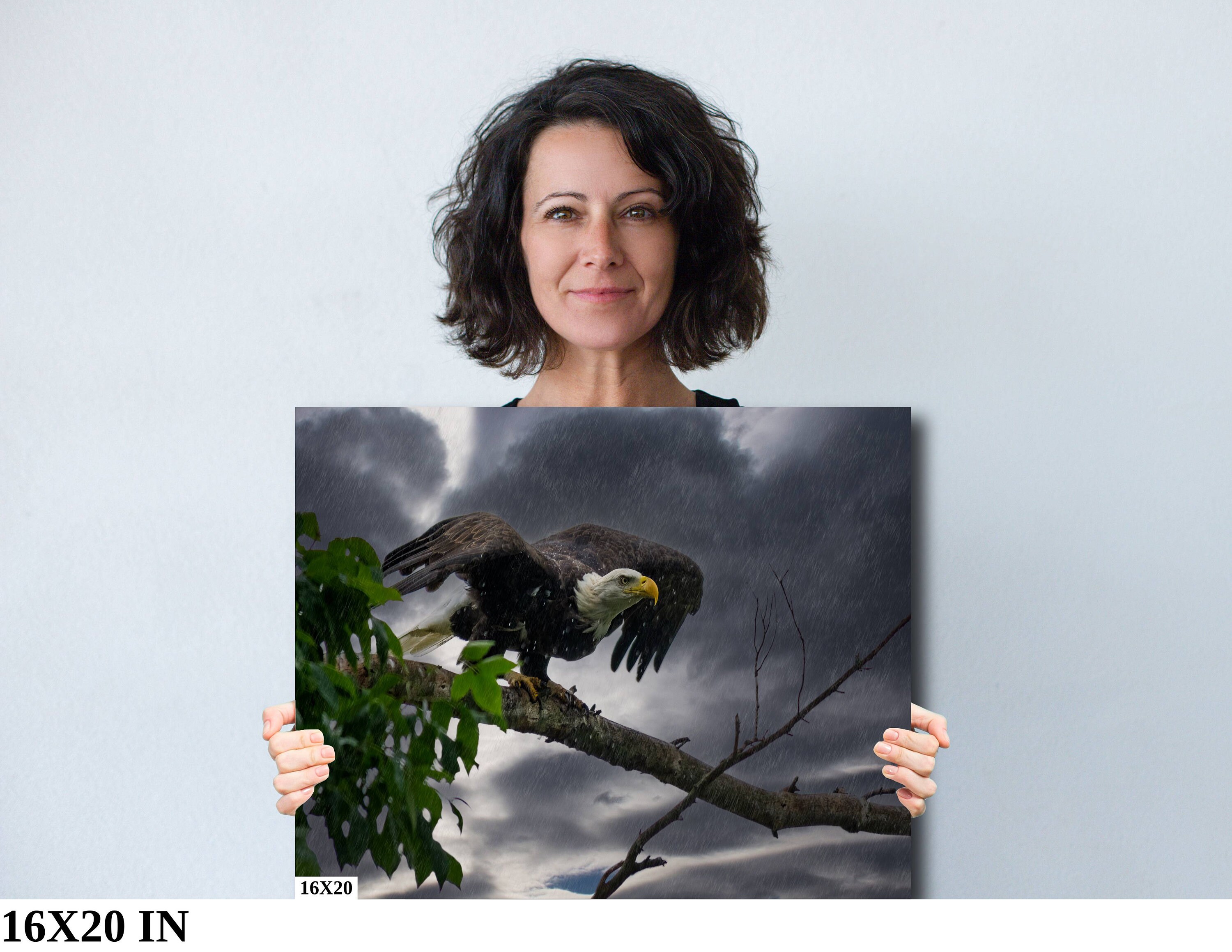 American Bald Eagle, Eagle, Canvas Wall Art, Art Print, Birds of Prey ...