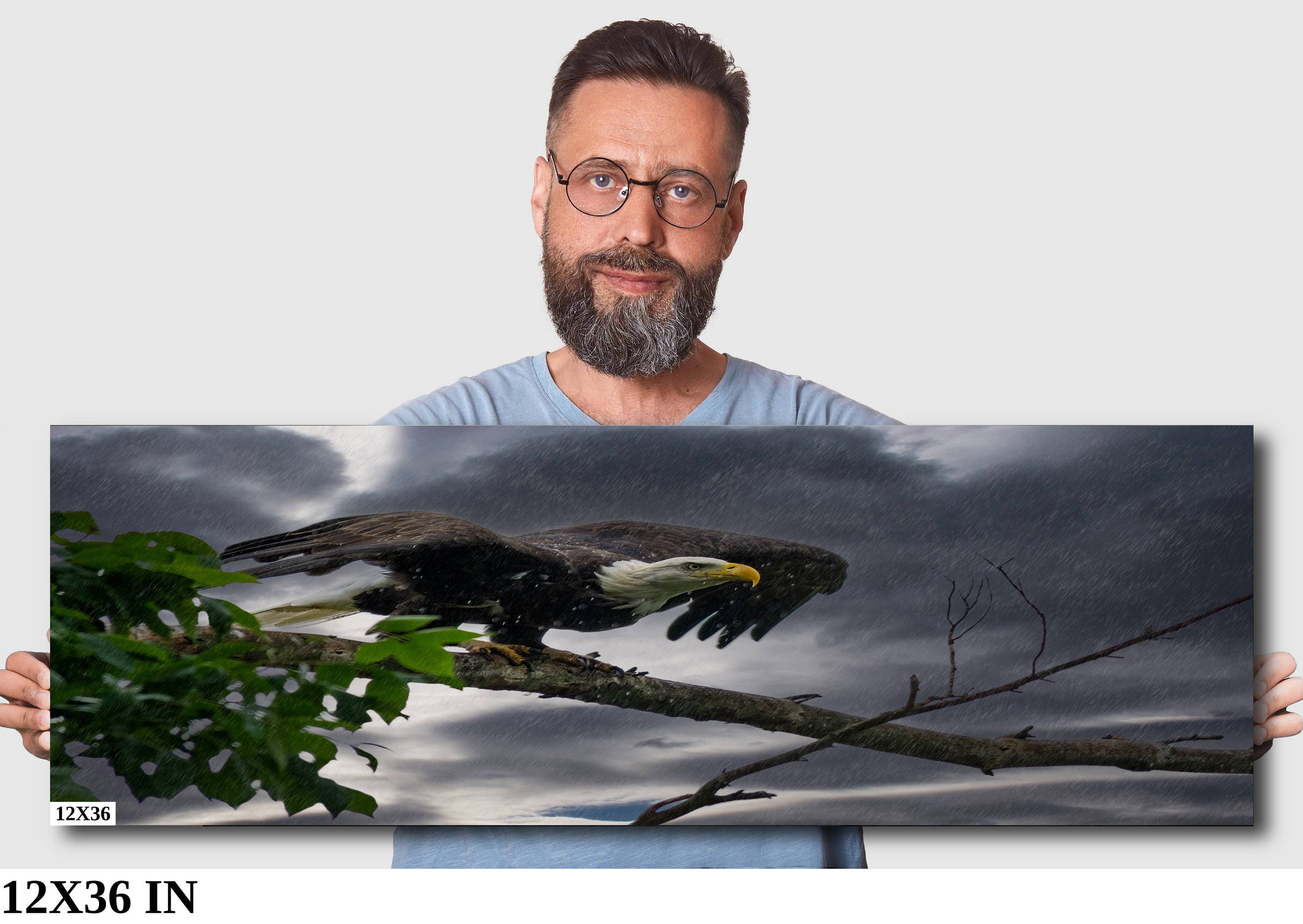 American Bald Eagle, Eagle, Canvas Wall Art, Art Print, Birds of Prey ...