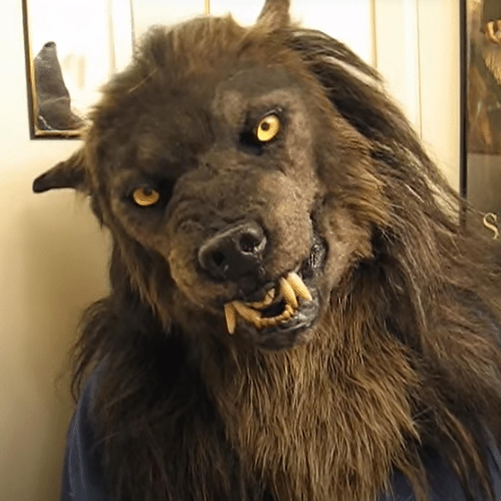 Werewolf Costumes For Men