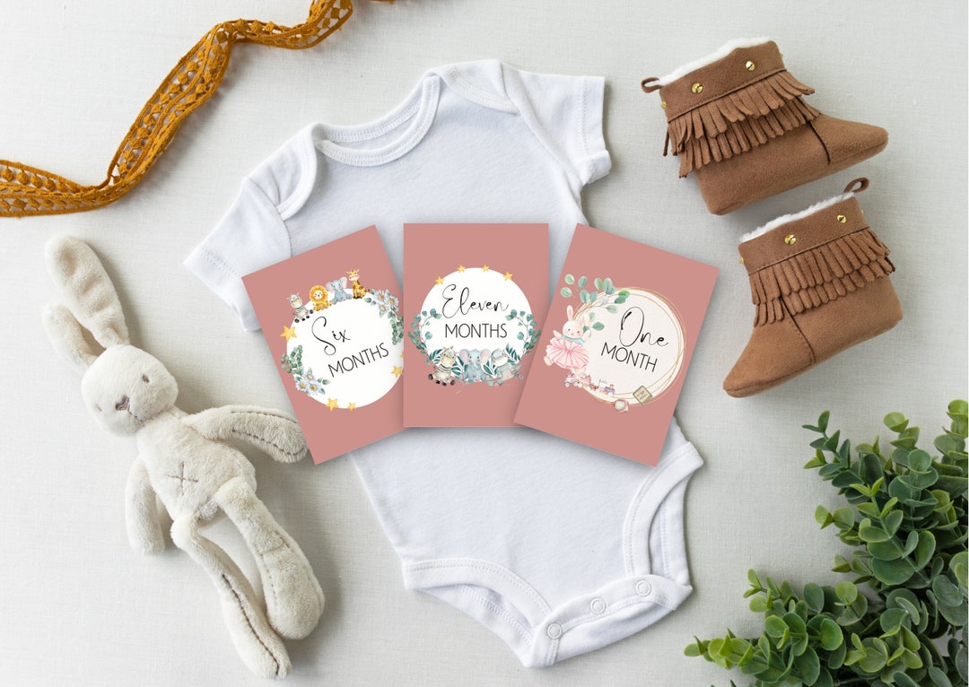 Dusty Pink Monthly Milestone Cards | Printable Monthly Milestone Cards ...