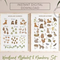 11x14 Woodland Forest Friends Alphabet and Number Counting Poster - Set ...