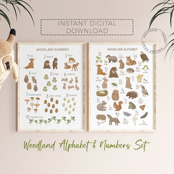 Woodland Alphabet - Etsy