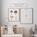 Weather and Seasons Educational Prints | Weather Poster | Playroom ...