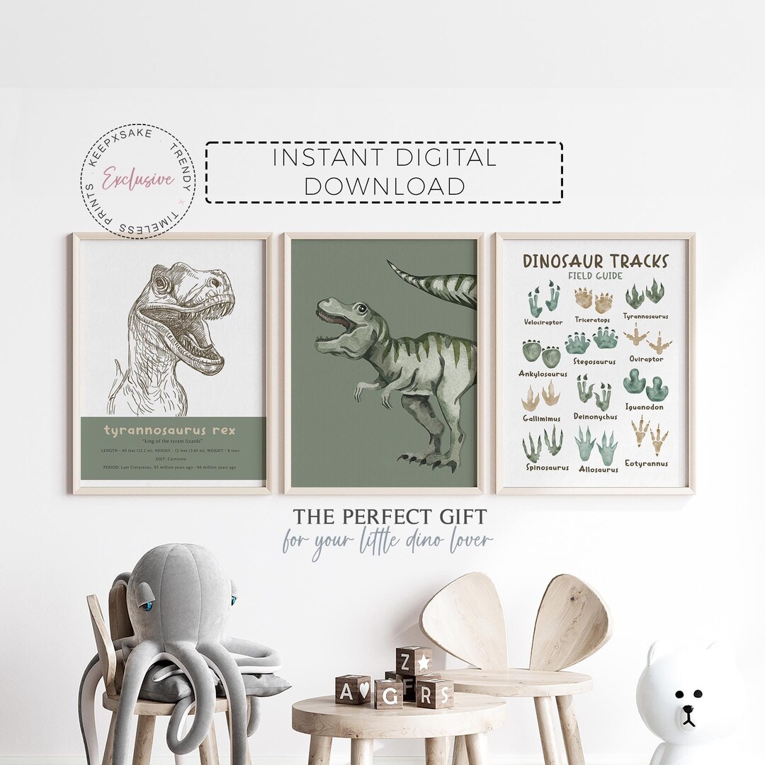 Dinosaur Bedroom Wall Art | Set of 3 Boys Bedroom Dino Decor | Trex ...