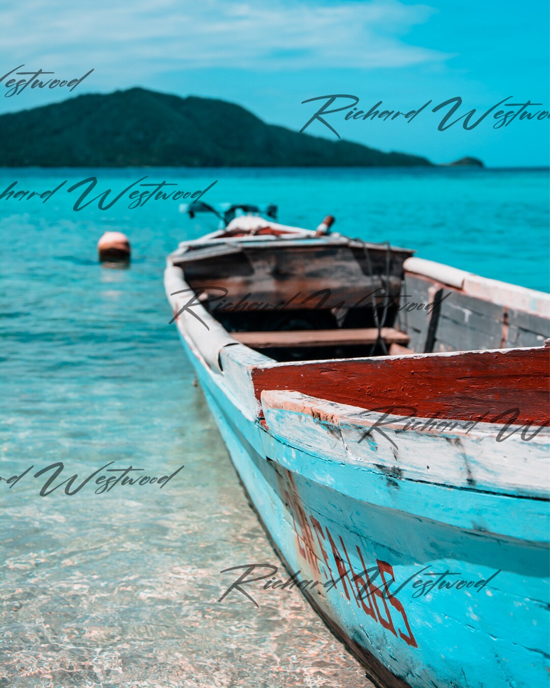 The Blue Boat - Etsy