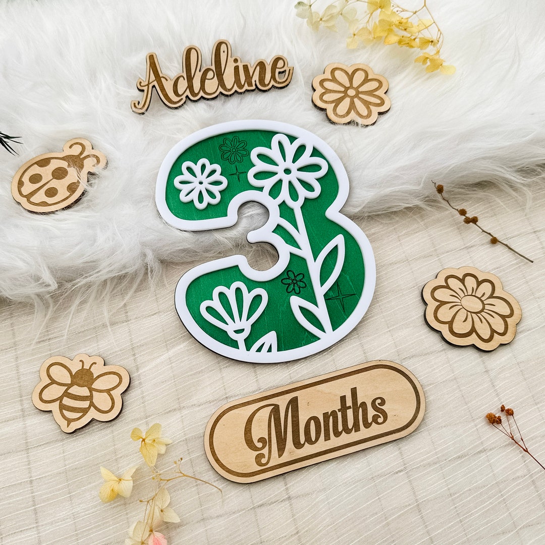 Monthly Wooden Milestone Numbers, Baby Monthly Milestone Marker ...