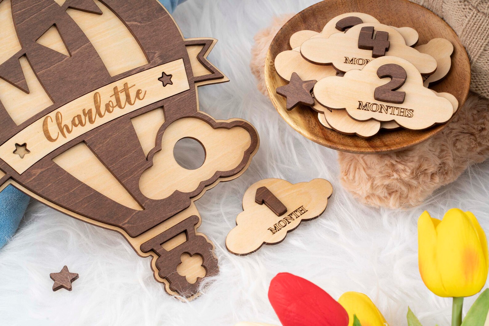 Hot Air Balloon Baby Milestone Markers: Personalized Wood Photo Prop - Etsy