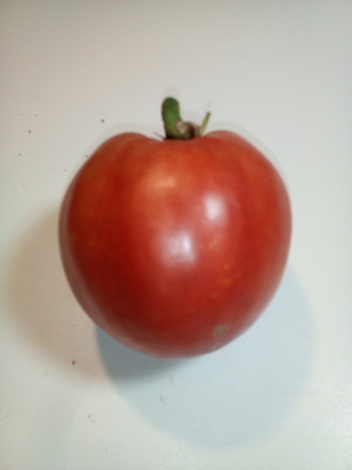 MEXICO, Heirloom Tomato Seeds - 10 Seeds - Etsy Canada
