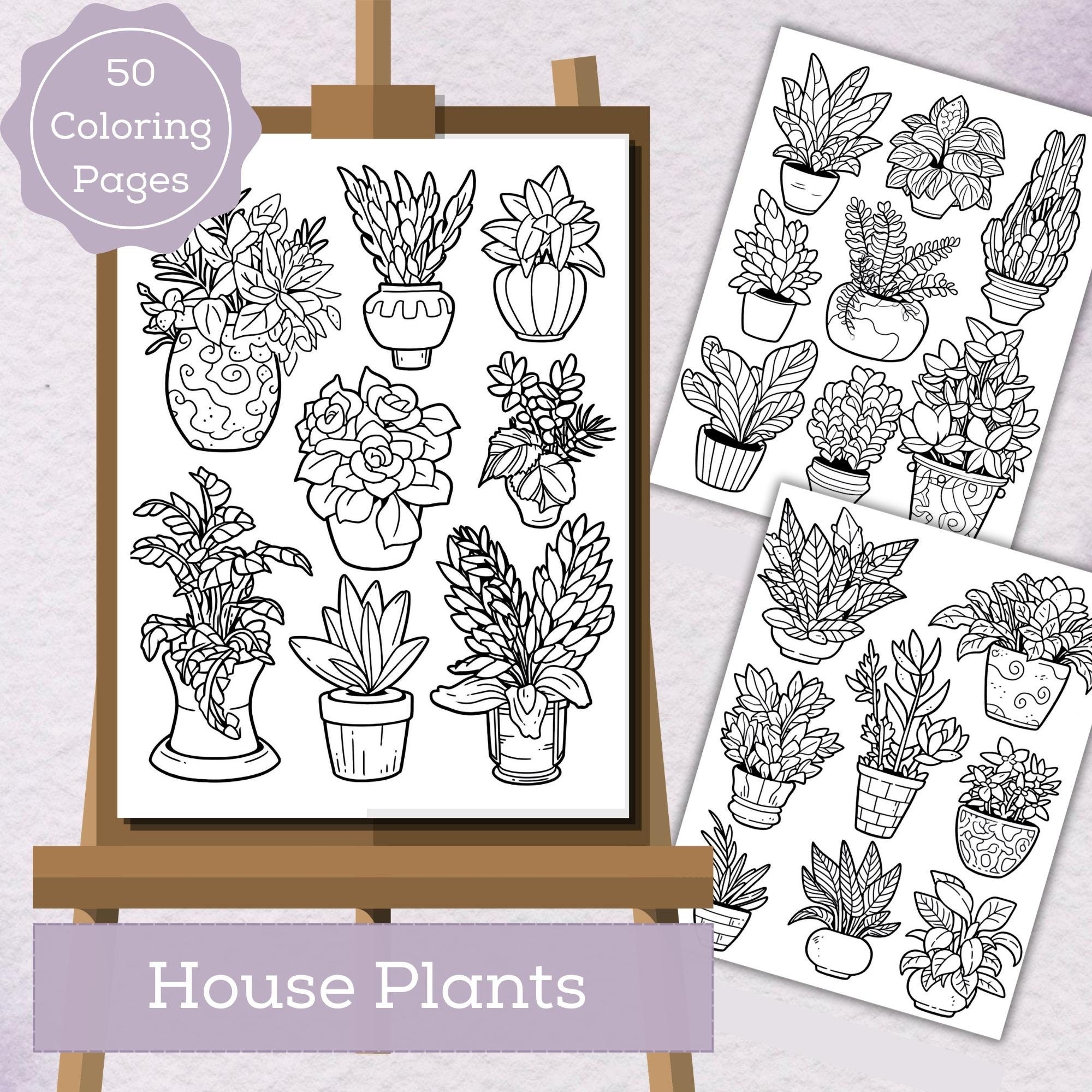 House Plant Coloring Pages 50 Pages Plant Coloring Pages for Relaxation ...