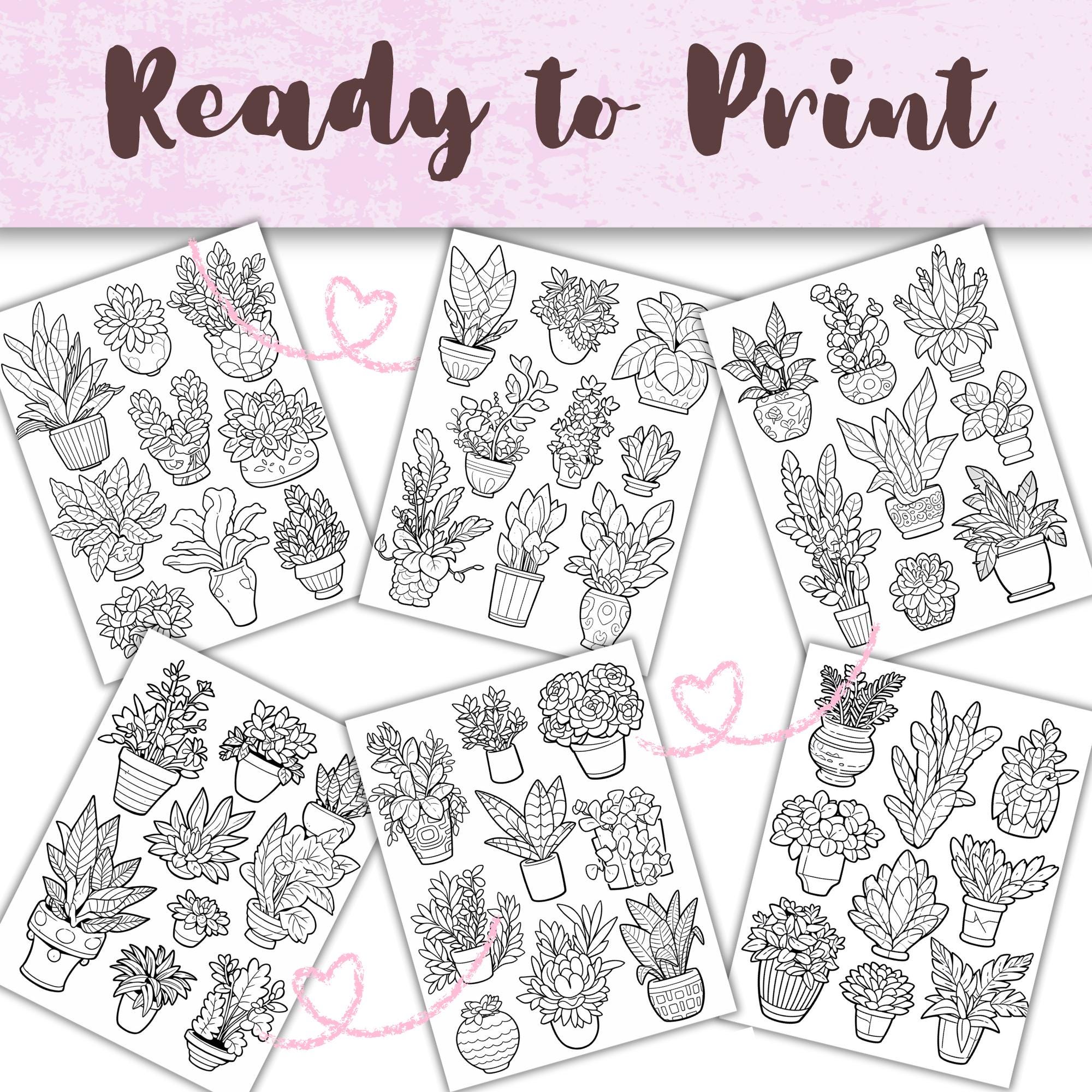 House Plant Coloring Pages 50 Pages Plant Coloring Pages for Relaxation ...