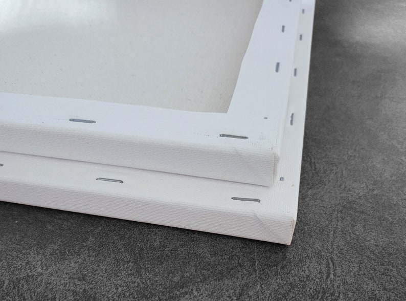 Tropical Dolphin Heart Shape - Etsy