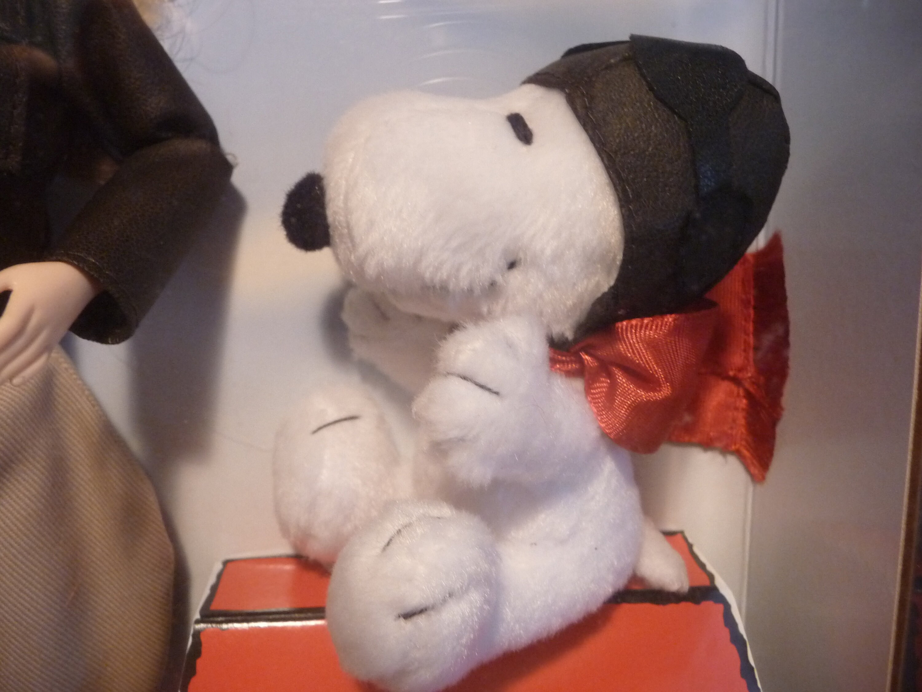 Barbie and Snoopy, Barbie Doll Set, Collector Edition, 2001, Never ...