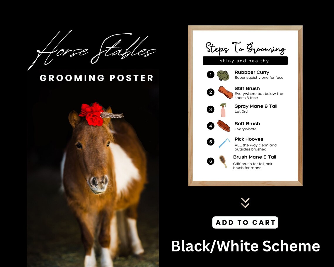 Horse Stables Poster | Steps to Horse Grooming PRINTABLE | New Horse ...