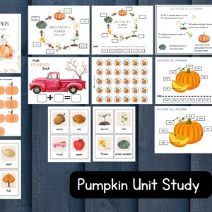 Pumpkin Unit Study|life Cycle of a Pumpkin|anatomy of a Pumpkin|math ...