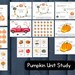 Pumpkin Unit Study|life Cycle of a Pumpkin|anatomy of a Pumpkin|math ...