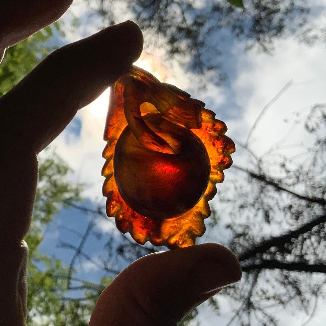 Amber Carved Cherry & Leaf. Chiapas MX Amber Free Shipping - Etsy