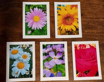 Handmade Photo Card Set. 4 Cards. Greeting Card, Beautiful Unique Gift ...