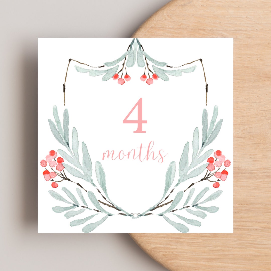 Classic Crest Baby Girl Monthly Milestone Cards, Monthly Picture ...