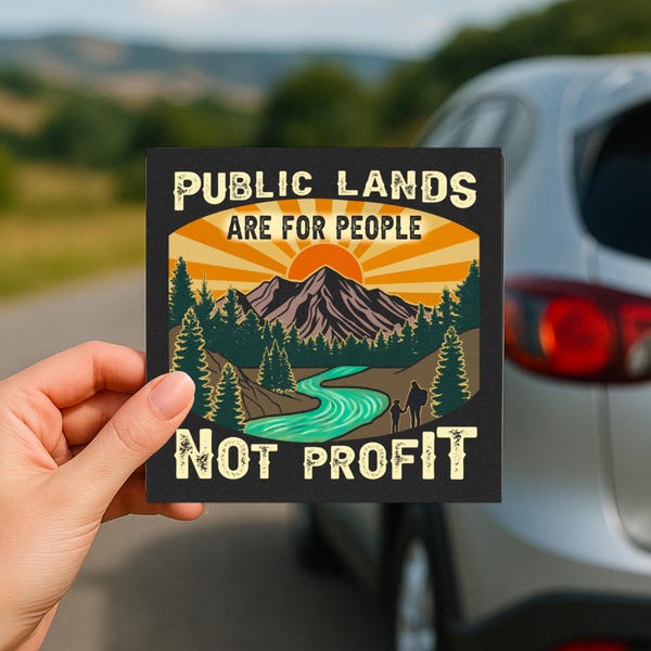 Environmental Car Stickers - Etsy