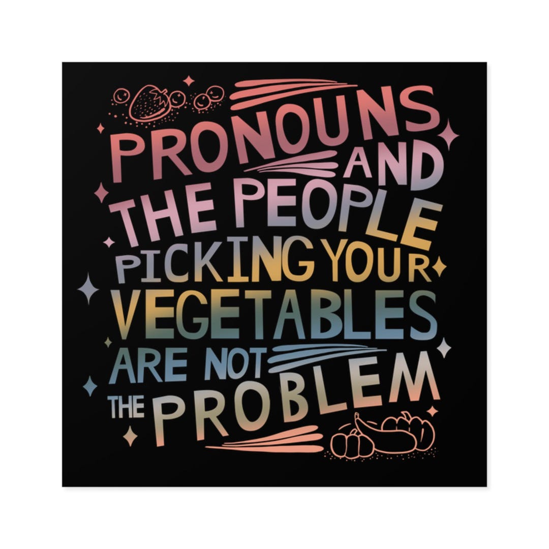 Social Justice Sticker, Equal Rights Decal, Pronouns and Migrant ...