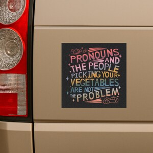 Activist Car Magnet, Social Justice Statement, Pronouns & Migrant ...