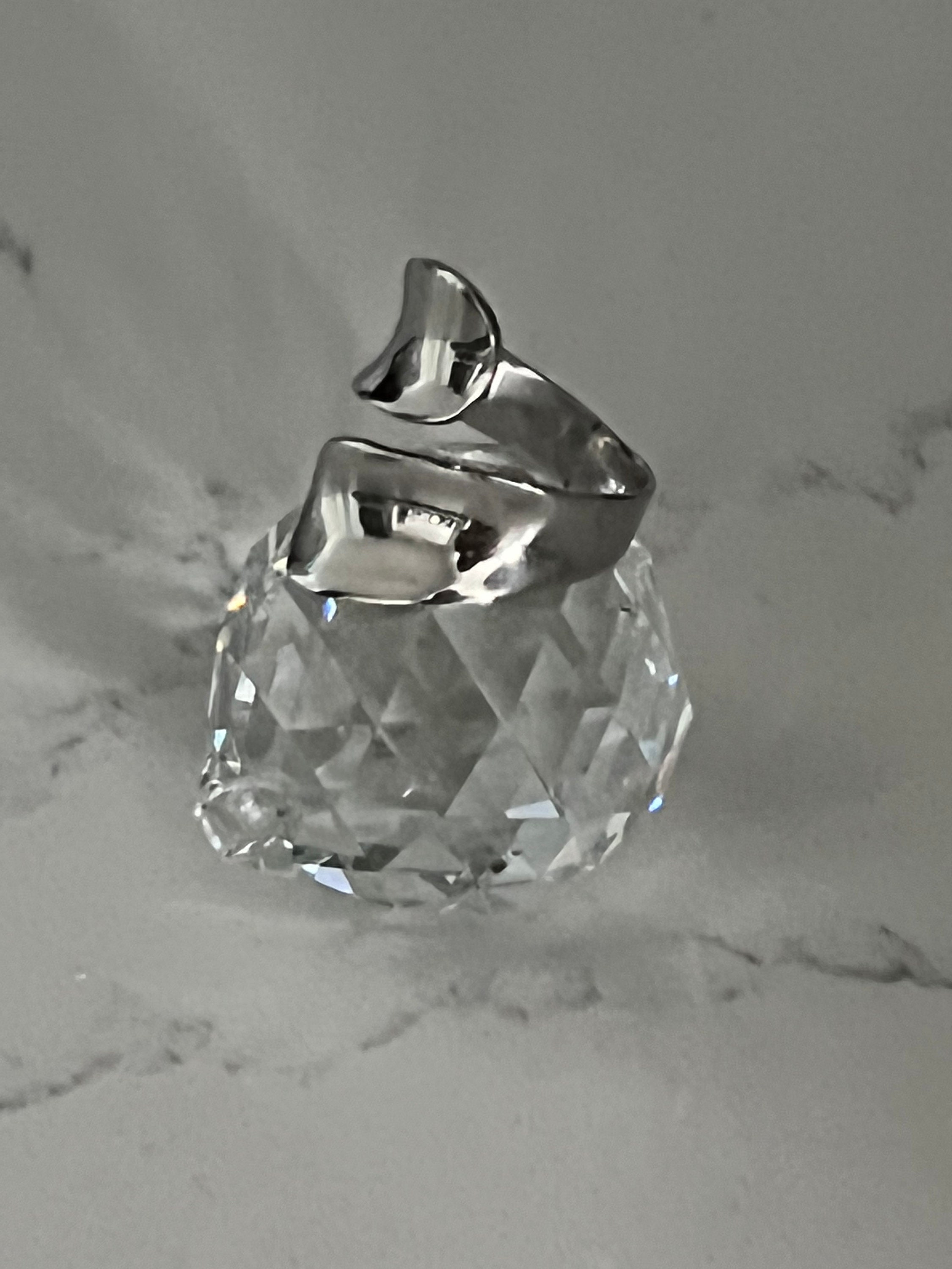 Stainless Steel Modern Double Spoon Ring, Large Spoon Ring, Silver ...