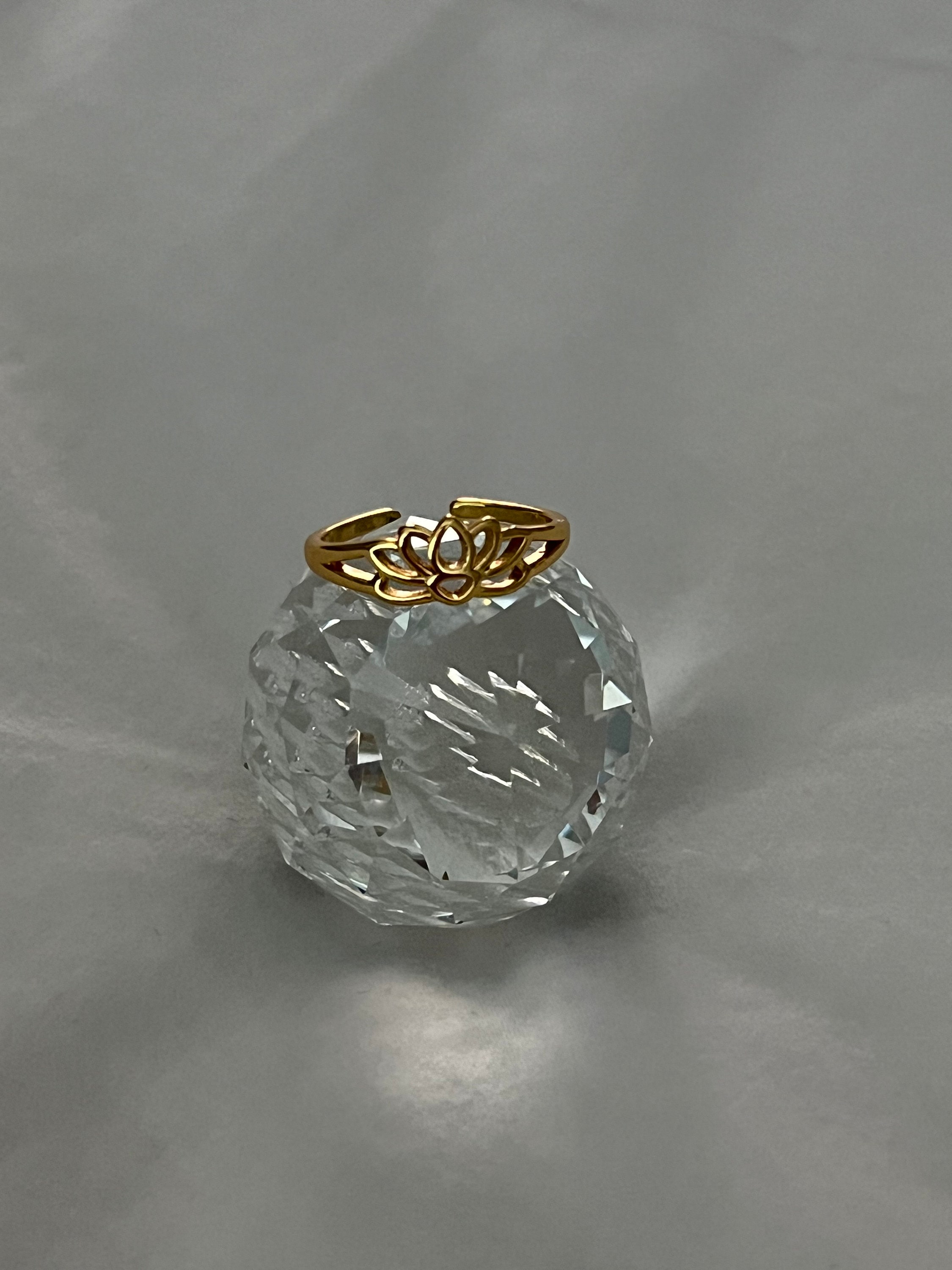 Elegant Style Stainless Steel Foot Ring, Hollow Lotus Adjustable Open ...