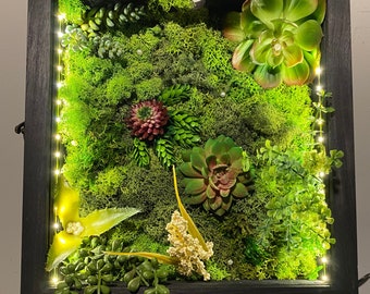 Moss Shadow Box - Etsy