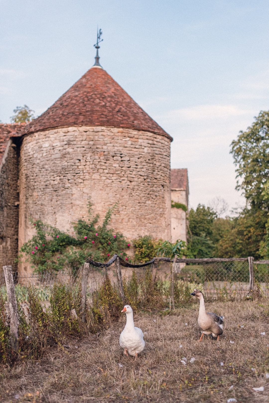 French Countryside, France Photography Print, Burgundy France ...