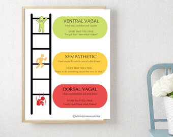 DBT Flashcards DBT Skills DBT Regulation Skills - Etsy