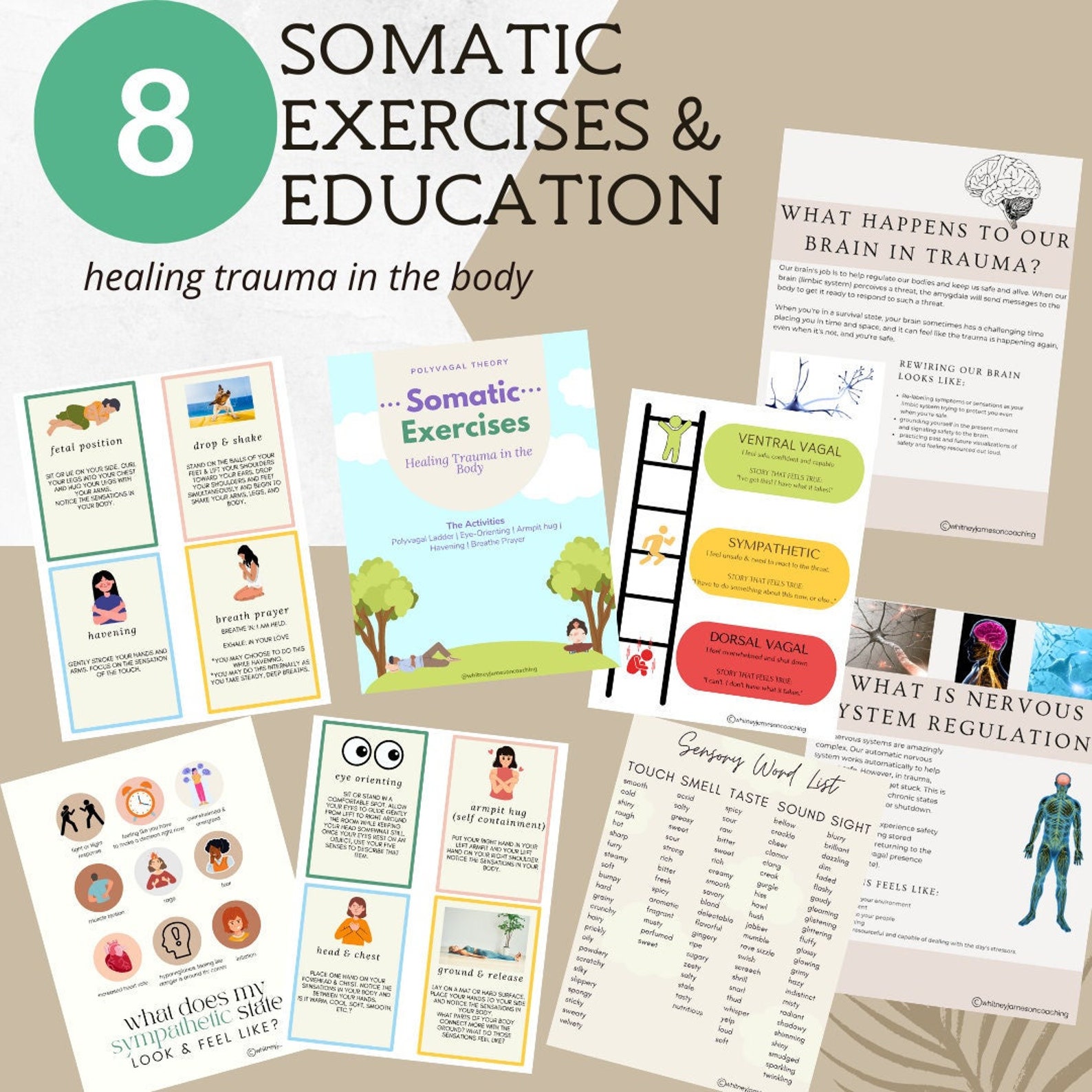 Somatic Exercises Somatic Therapy Nervous System Regulation Coping ...