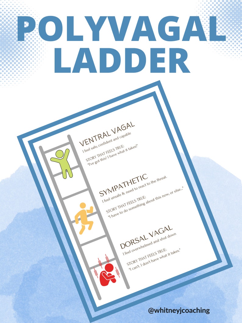 Polyvagal Ladder Polyvagal Theory - Etsy
