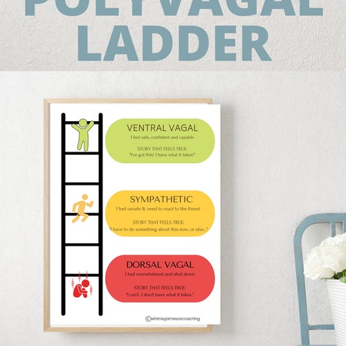 Polyvagal Ladder Polyvagal Theory - Etsy